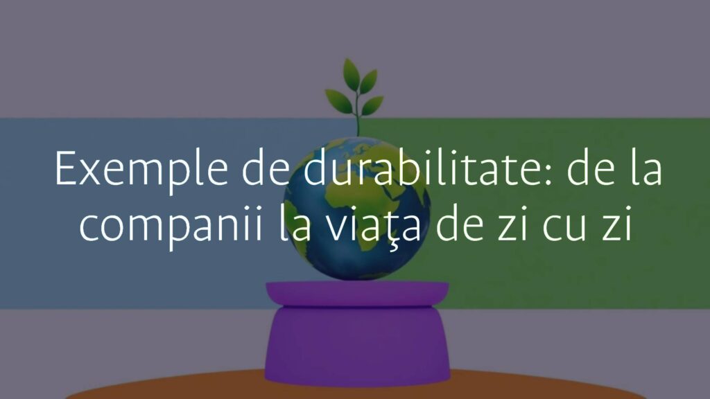Exemple de durabilitate: de la companii la viața de zi cu zi - Gem Magazine